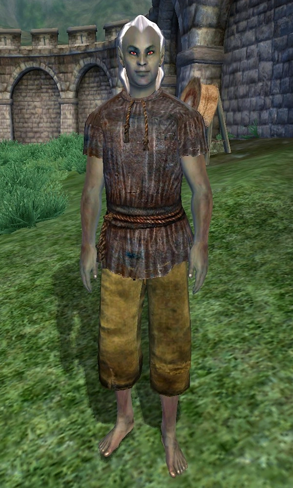 Valen Dreth | The Elder Scrolls Wiki | Fandom