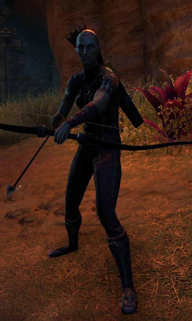 Archer euraxien | Wiki The Elder Scrolls | Fandom