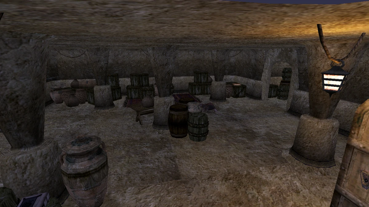 Arena Storage | Elder Scrolls | Fandom