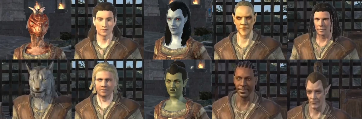 Races (Blades) | Elder Scrolls | Fandom