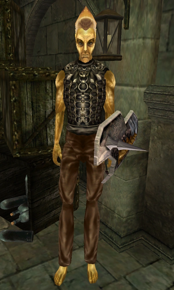 Fiiriel | Elder Scrolls | Fandom