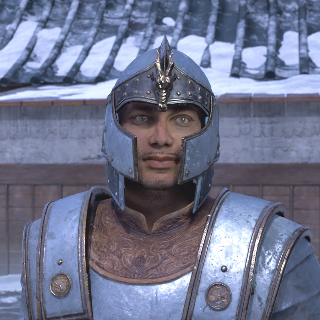 Kapitan Steffan | The Elder Scrolls Wiki | Fandom