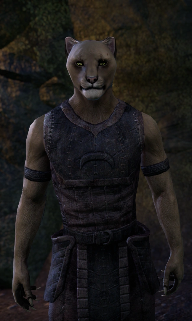 S'jash | Wiki The Elder Scrolls | Fandom