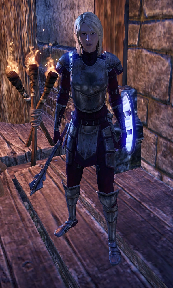 Warden Edelinne | Elder Scrolls | Fandom