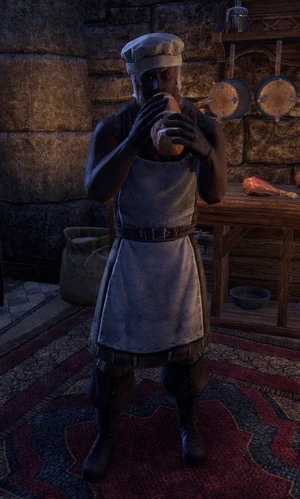 Zerdesht | Elder Scrolls | Fandom