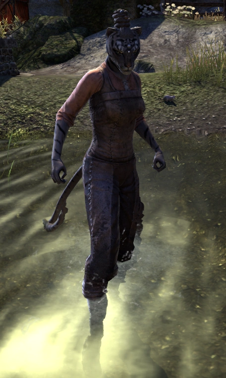 Nulla | Wiki The Elder Scrolls | Fandom