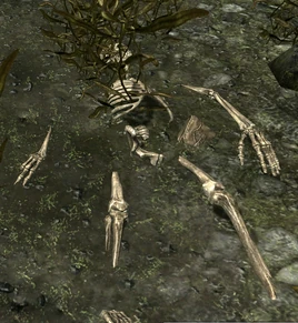 Reyda | Elder Scrolls | Fandom