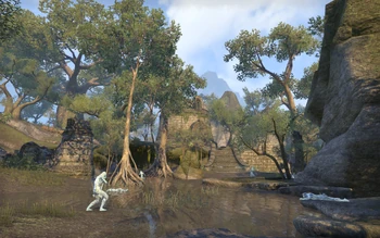 Rootwatch Tower | Elder Scrolls | Fandom