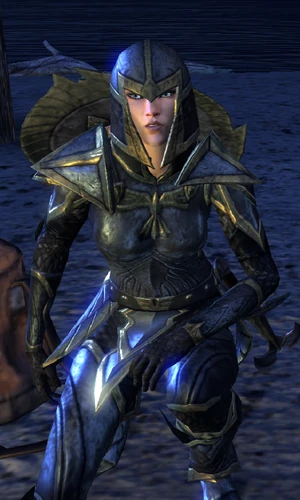 Captain Cularalda | Elder Scrolls | Fandom