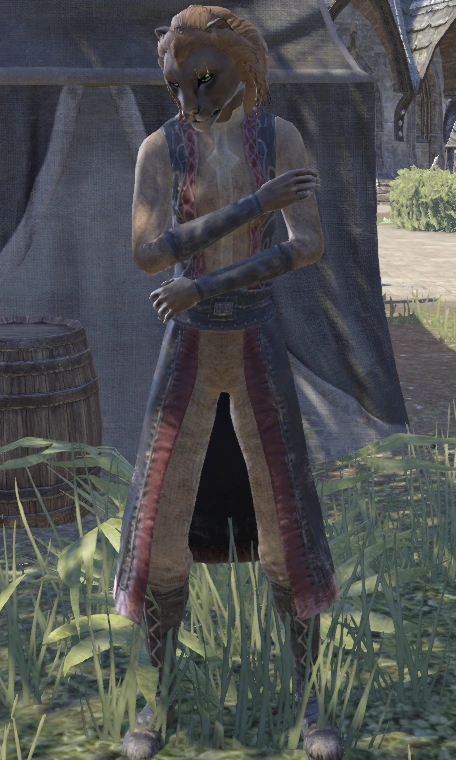 Grumpy Resident | Elder Scrolls | Fandom