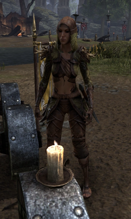 Miniel (Online) | Elder Scrolls | Fandom