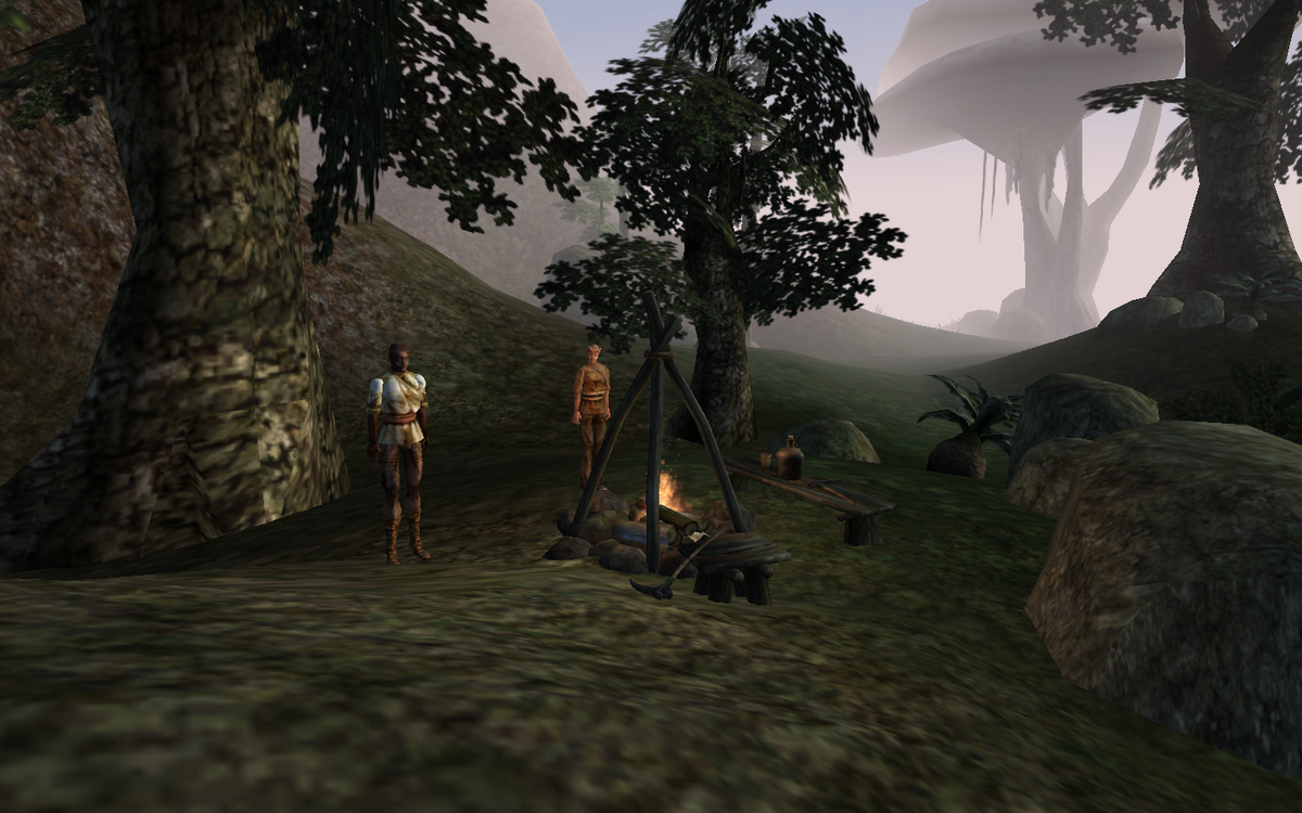 Яичная шахта Шалка The Elder Scrolls Wiki Fandom