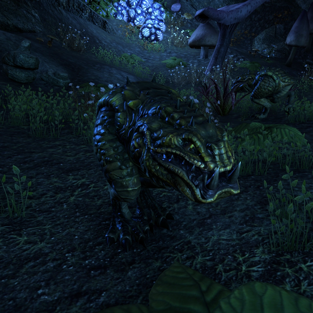 Alit d'Ombre-noire | Wiki The Elder Scrolls | Fandom