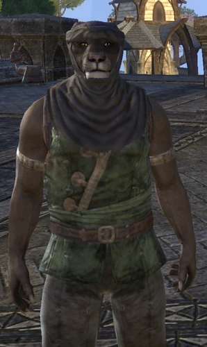 Baandari Peddler | Elder Scrolls | Fandom