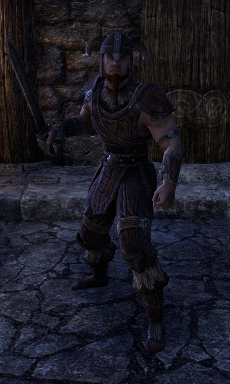 Garde De Bruma Wiki The Elder Scrolls Fandom