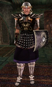 Guard Captains | Elder Scrolls | Fandom