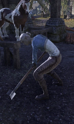 Helma | Elder Scrolls | Fandom