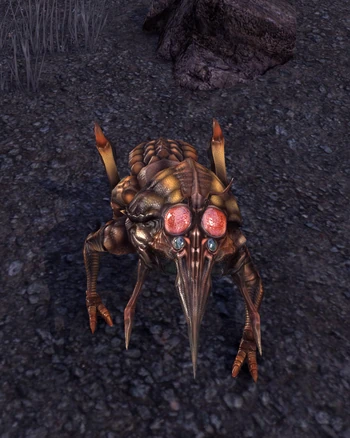 Rabid Nix-Hound | Elder Scrolls | Fandom