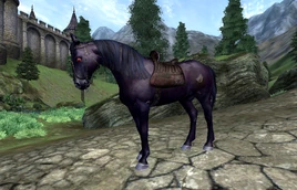 Shadowmere (Oblivion) | Elder Scrolls | Fandom