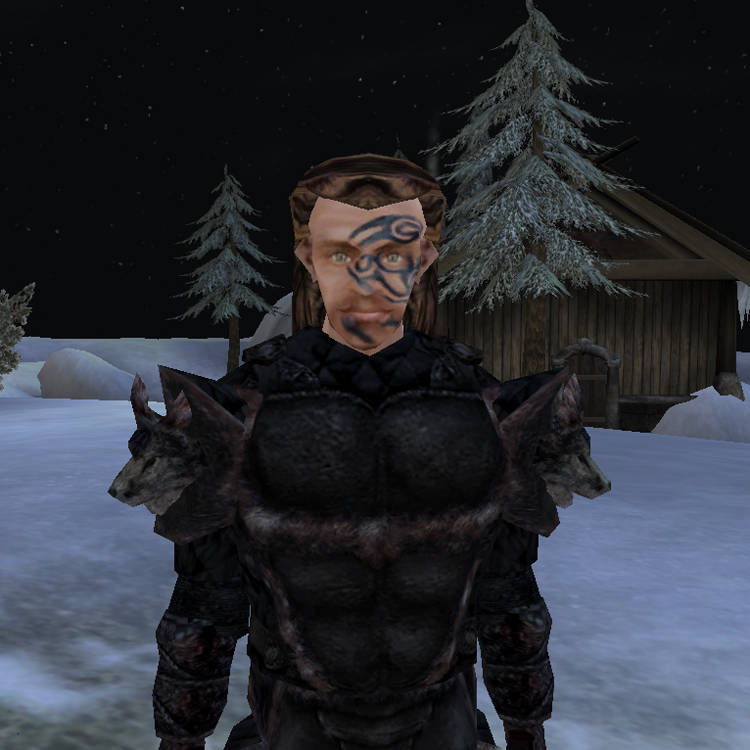 Энгар Ледяная Грива The Elder Scrolls Wiki Fandom