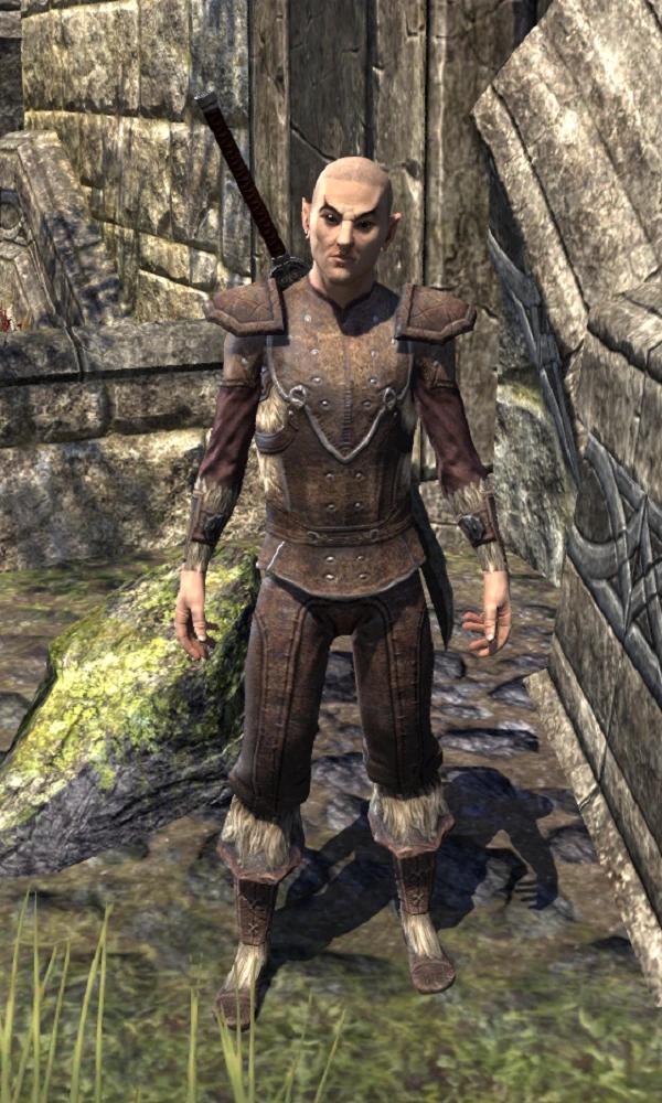 Apprentice Odrethin | Elder Scrolls | Fandom
