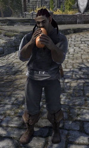 Borgh | Elder Scrolls | Fandom