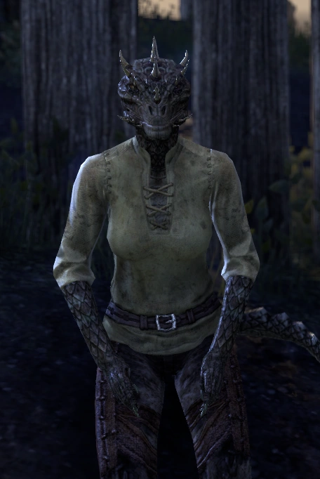 Chee-Dooka | Wiki The Elder Scrolls | Fandom