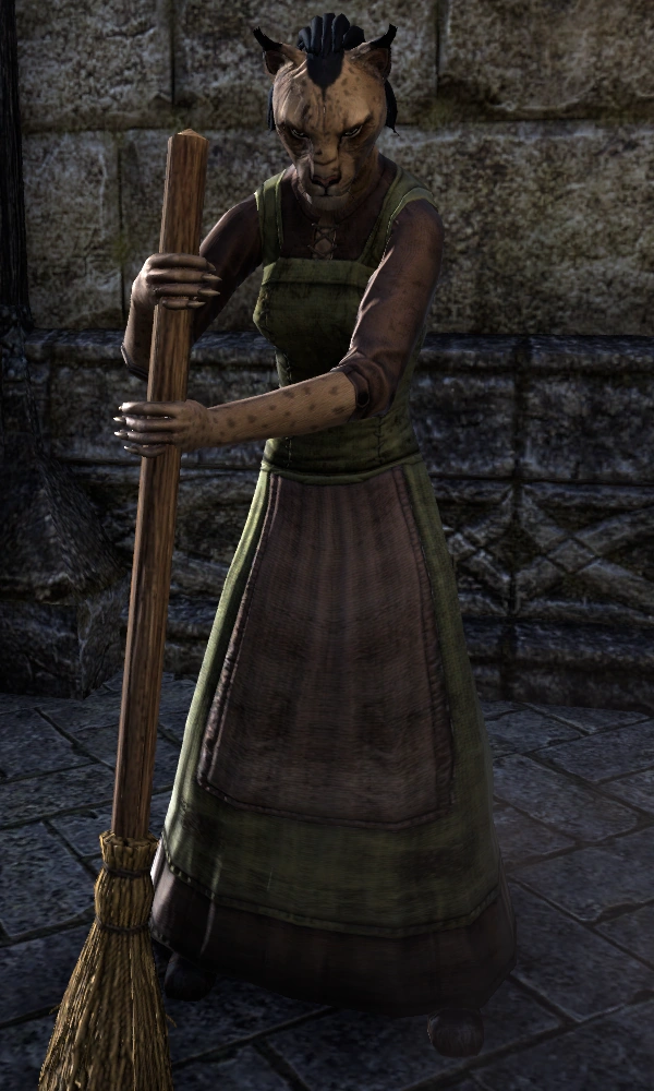 Bazali | Elder Scrolls | Fandom