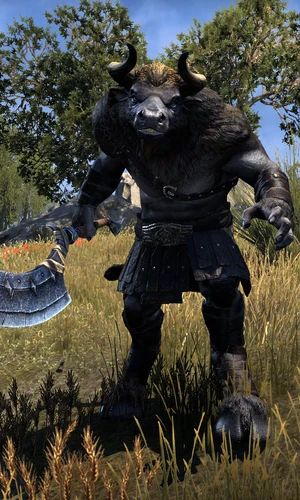 Minotaur (Online) | Elder Scrolls | Fandom