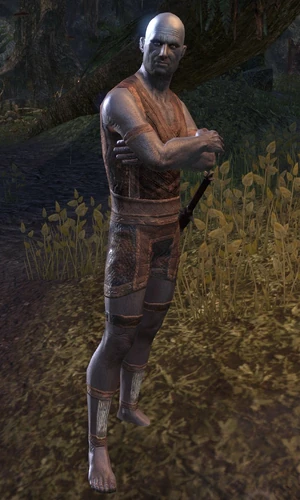 Eral | Elder Scrolls | Fandom