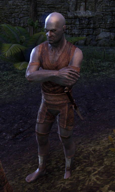 Eral | Wiki The Elder Scrolls | Fandom