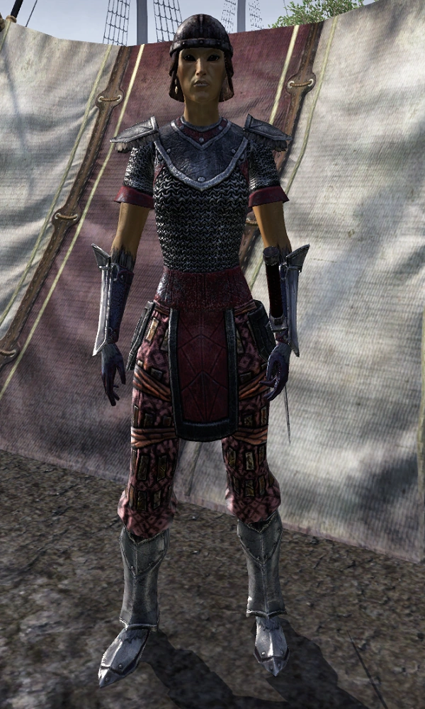 Fighters Guild Recruit (Online) | Elder Scrolls | Fandom