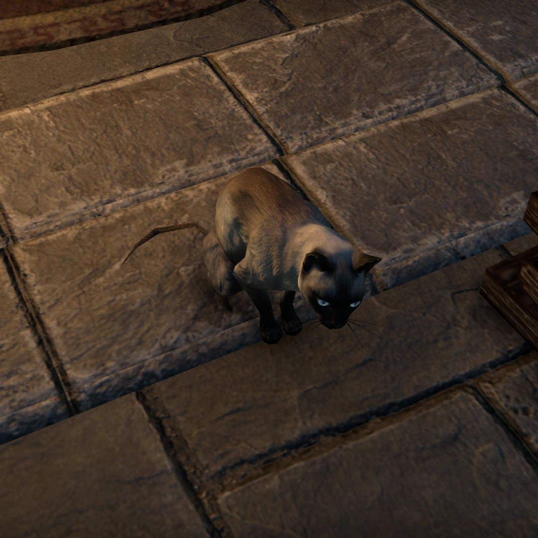 Slobbo | Wiki The Elder Scrolls | Fandom