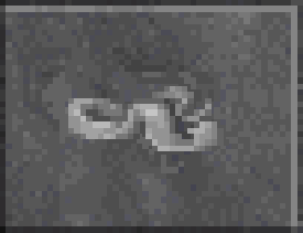 Miscellaneous Items (Daggerfall) | Elder Scrolls | Fandom