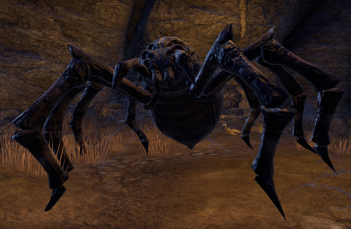 Crypt Dweller Drusilla | Elder Scrolls | Fandom