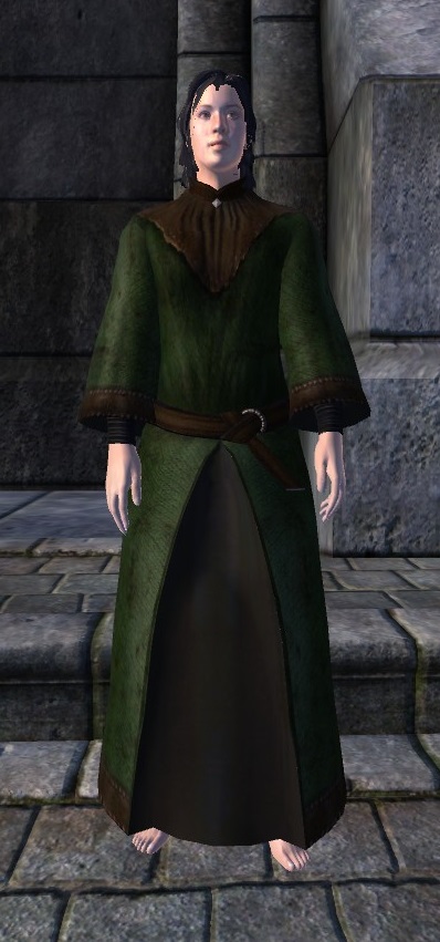 Зелёная роба The Elder Scrolls Wiki Fandom