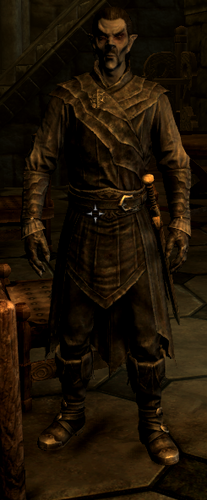 Feran Sadri | Wiki The Elder Scrolls | Fandom