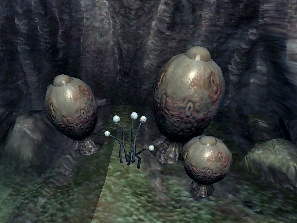 Watcher's Eye | Elder Scrolls | Fandom