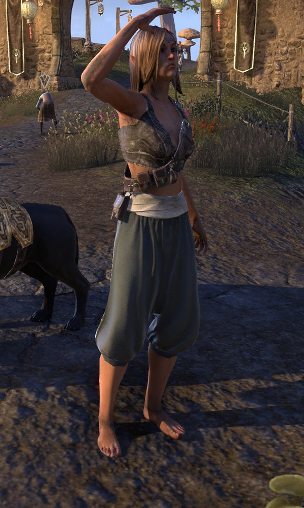 Faedridil | Elder Scrolls | Fandom