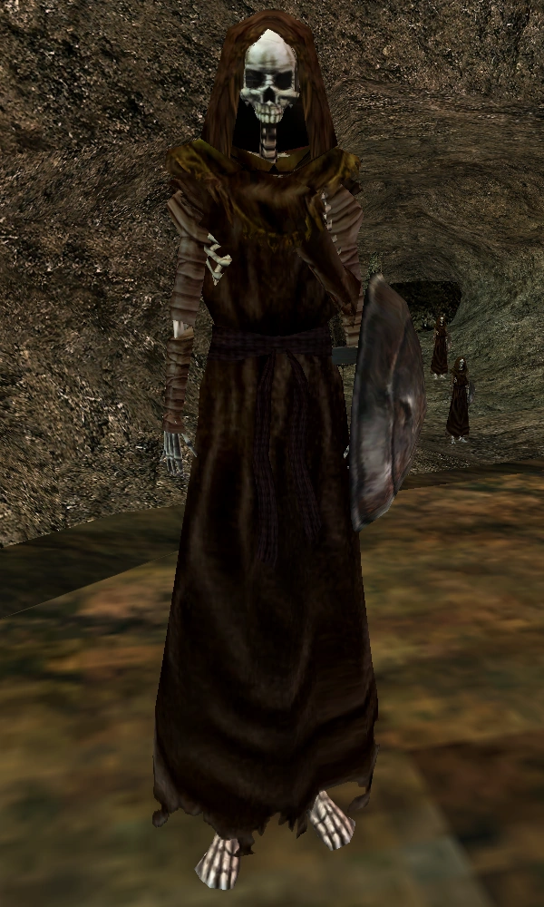 Profane Acolyte | Elder Scrolls | Fandom