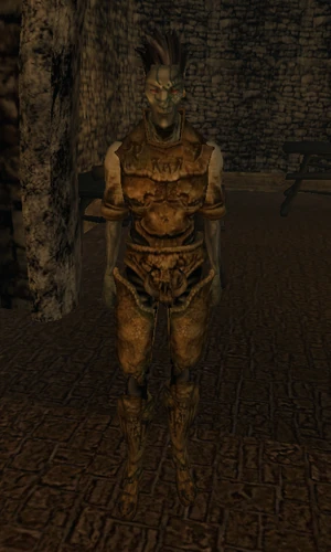 Nathyn Ilnith | Elder Scrolls | Fandom