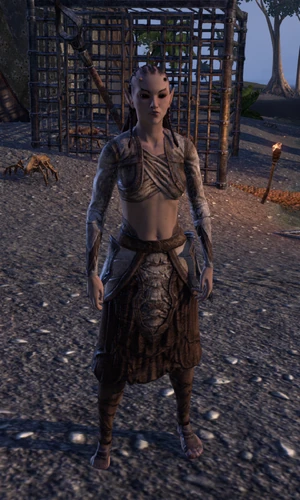 Spinner Benieth | Elder Scrolls | Fandom