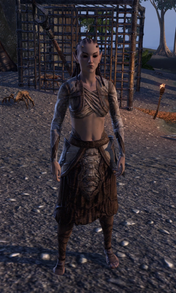 Spinner Benieth | Elder Scrolls | Fandom