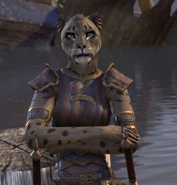 Капитан Джимила The Elder Scrolls Wiki Fandom