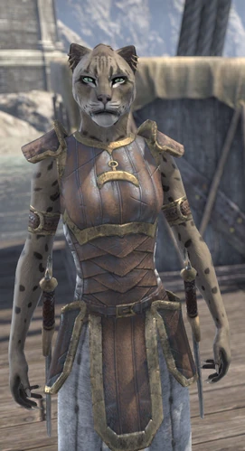 Captain Jimila | Elder Scrolls | Fandom