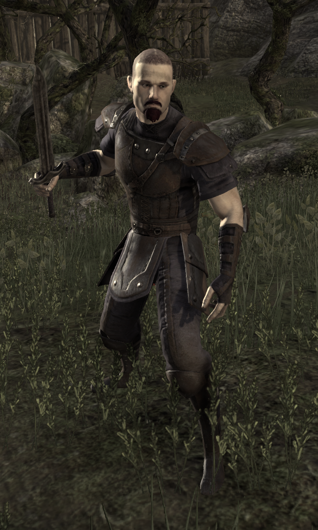 Fantassin Alessien Wiki The Elder Scrolls Fandom