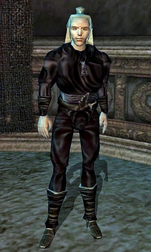 Hoki | Elder Scrolls | Fandom