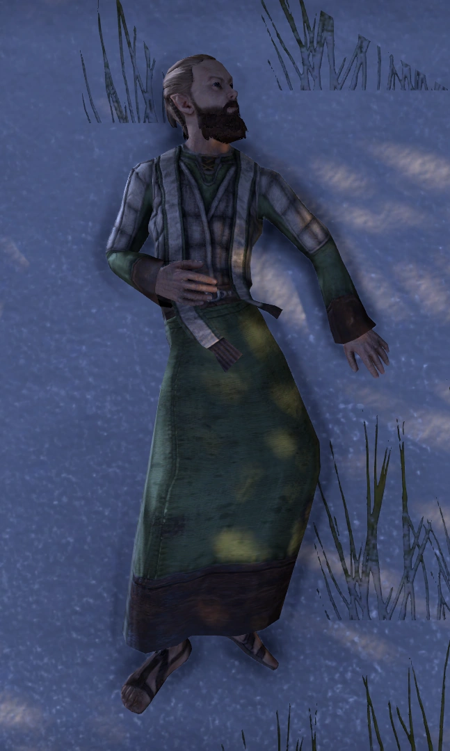 Icarian | Wiki The Elder Scrolls | Fandom