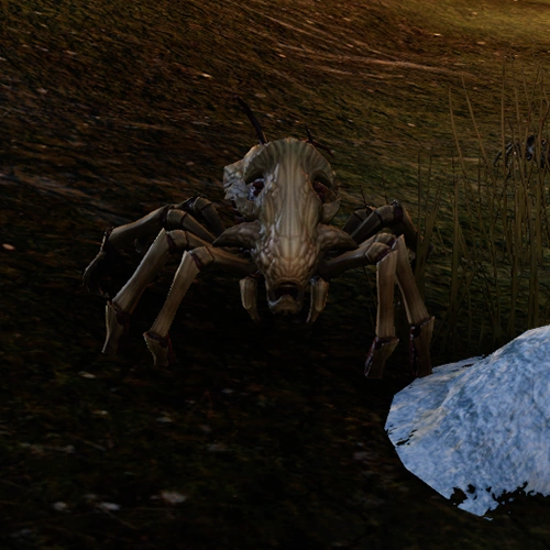 Kwama (Online) | Elder Scrolls | Fandom