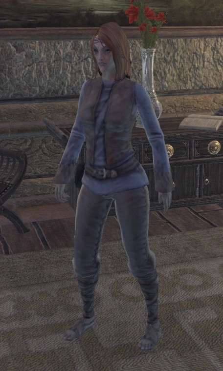 Runner | Elder Scrolls | Fandom